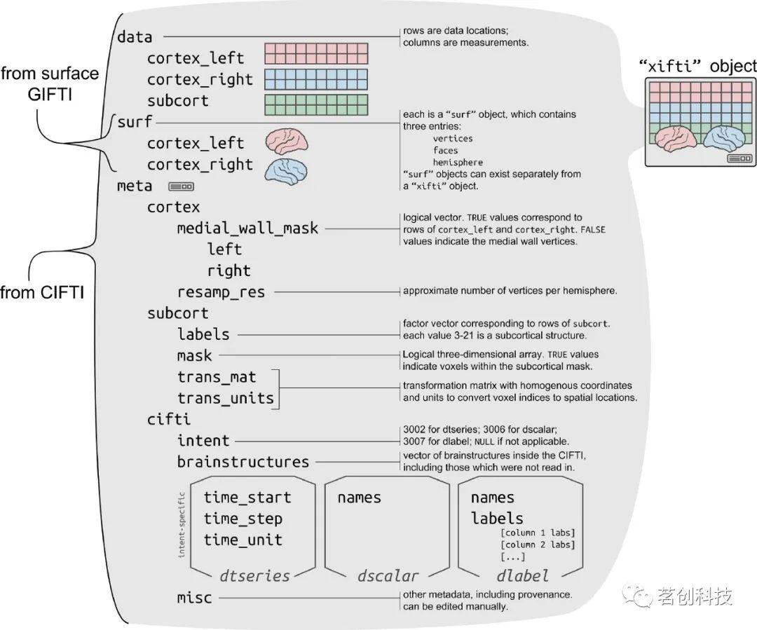 ciftiTools | 用于读取、写入、可视化和操作CIFTI文件的R包 - 知乎