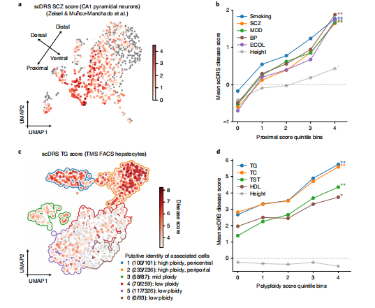 Nat Genetics | 单细胞分析精准捕捉多基因疾病相关细胞亚群 - 知乎