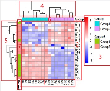R语言怎么绘制热图 - 知乎