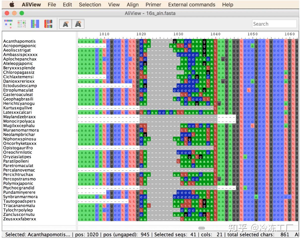 生信教程：多序列比对 - 知乎
