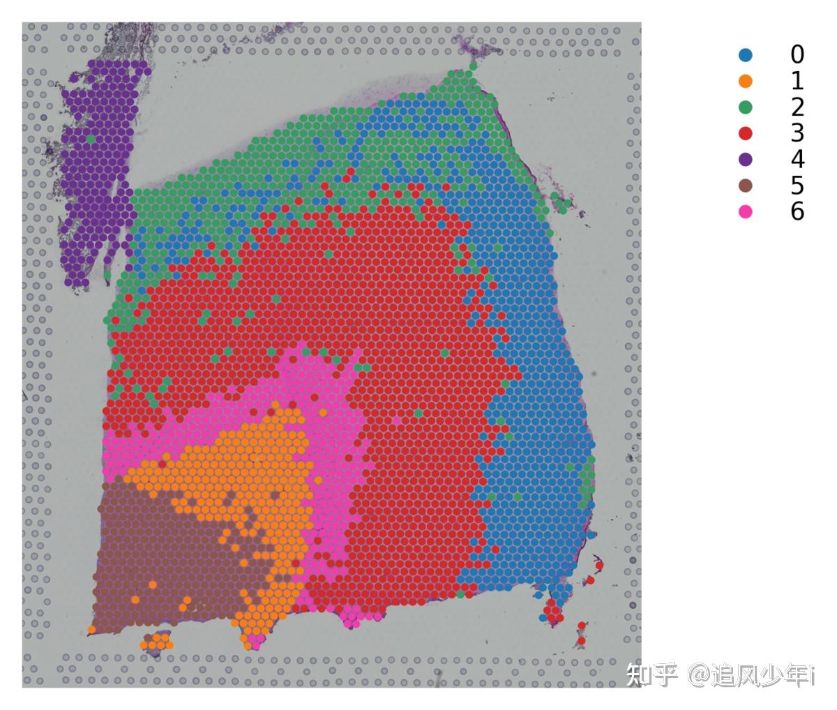 10X单细胞空间回顾之stlearn - 知乎