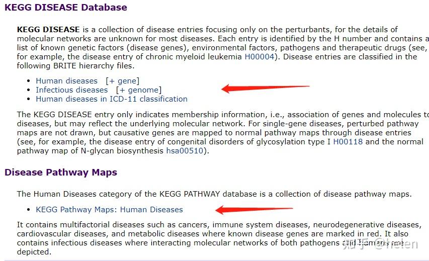 保姆级KEGG数据库教程！医学人如何入门KEGG？信号通路分析必学功能有哪些？不需要掌握的有哪些？
