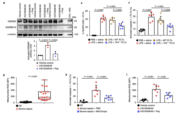 Nature最新大子刊丨脓毒症-血小板-GSDMD-NETs - 知乎