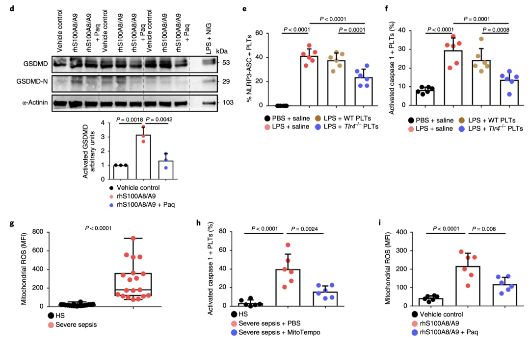 Nature最新大子刊丨脓毒症-血小板-GSDMD-NETs - 知乎