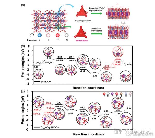 AFM：空位和掺杂协同促进Ni(OH)2尿素电化学氧化 - 知乎