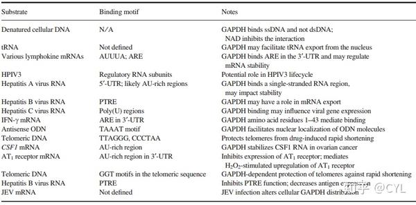 【文献翻译】GAPDH:一种功能不寻常的普通酶 - 知乎