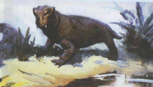 地质年代细分时间，标志，及各阶代表生物：侏罗纪篇 - 知乎