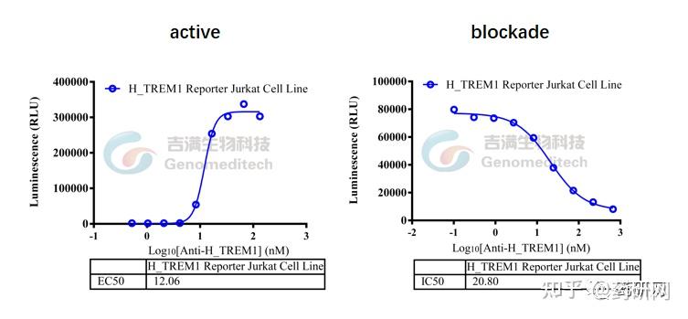 TREM1、TREM2丨髓系细胞表面受体的异军突起 - 知乎
