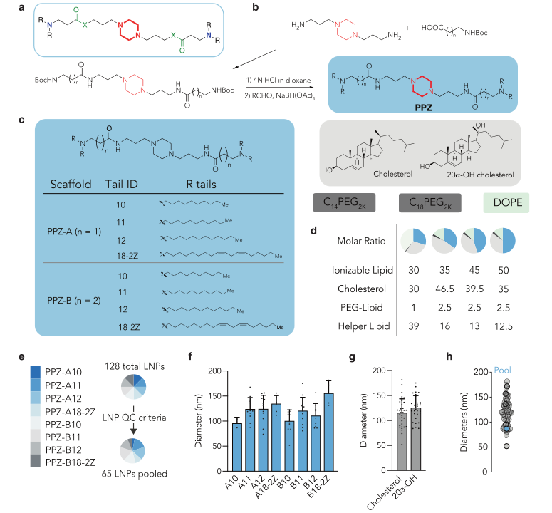 脂质纳米颗粒(LNPs)肝外递送RNA药物的三大策略 - 知乎