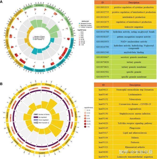 8+NETosis+机器学习+表达验证 - 知乎