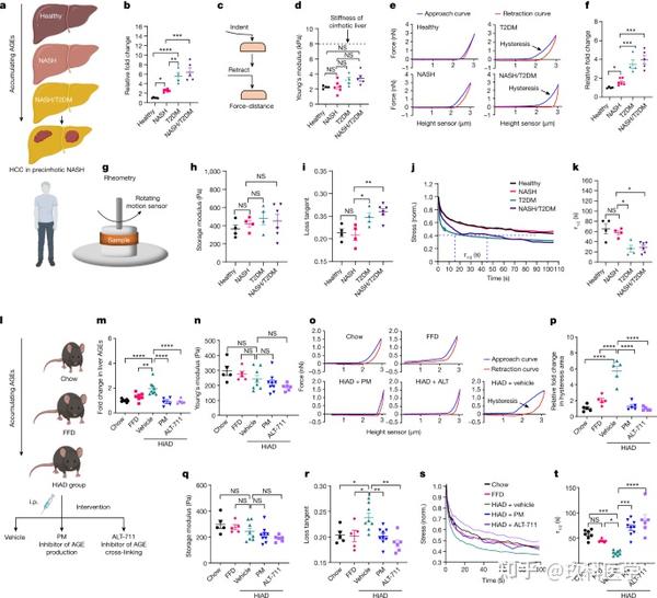IF：64.8 | 粘弹性?基质粘弹性与肝癌相关性的新发现！ - 知乎