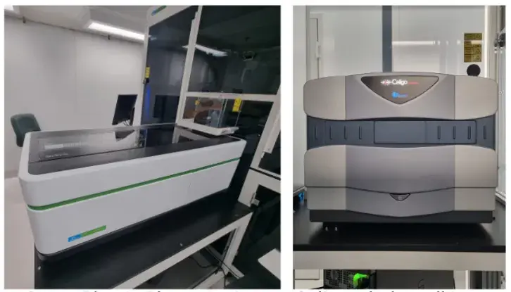 瑞孚迪explorer G3自动化整合系统助力类器官工程流水线制备_化工仪器网