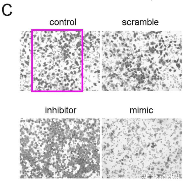PLoS ONE重整旗鼓，对上百篇问题论文严肃撤稿 - 知乎