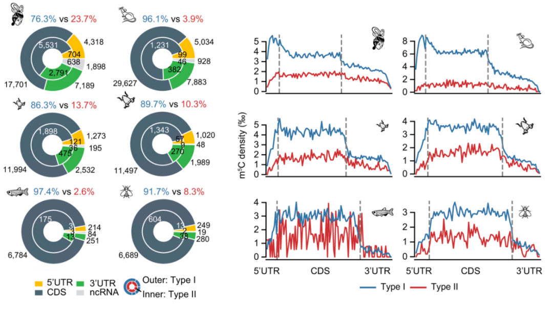 mRNA m5C BS-seq技术服务，绘制单碱基分辨率m5C修饰图谱 - 知乎