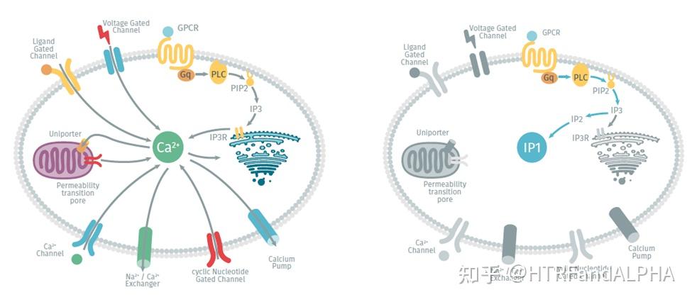IP-One Gq kit，你值得拥有！ - 知乎