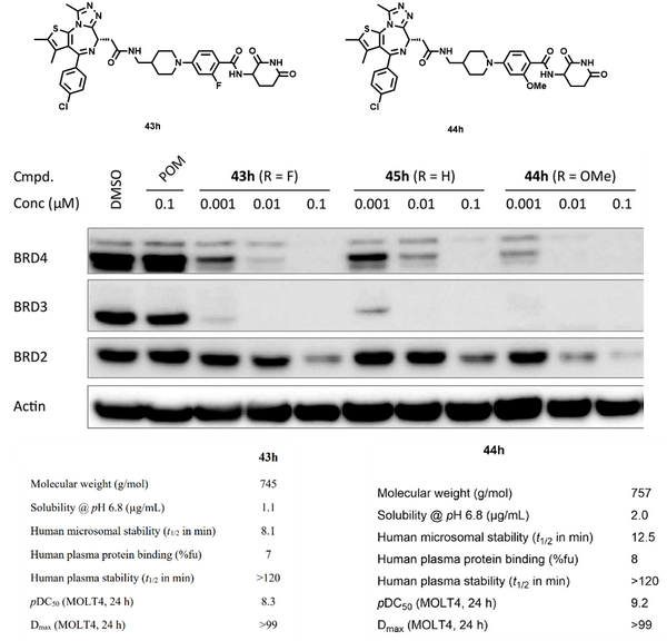 ARV766结构的3处改变使其优先被考虑推至3期临床 - 知乎