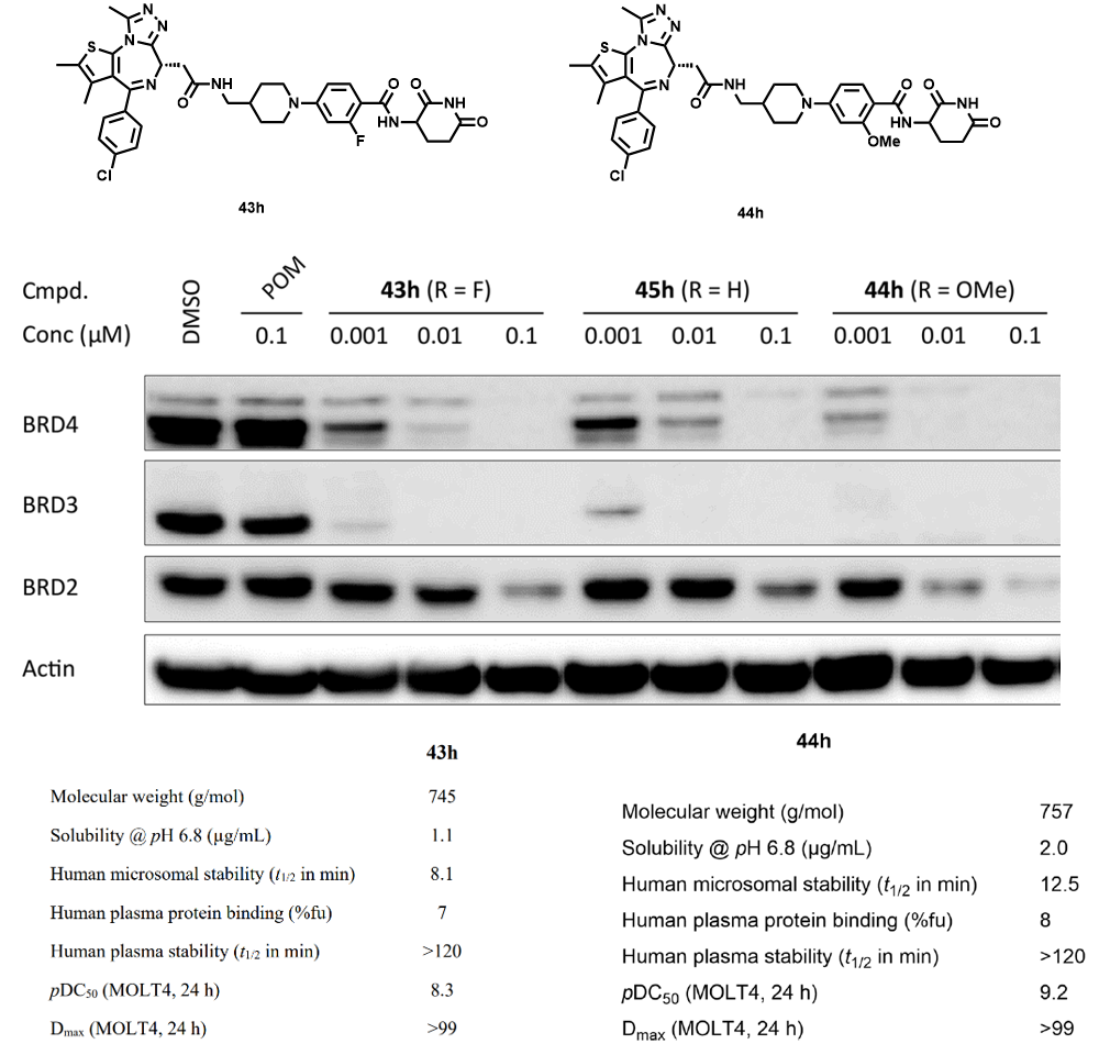 ARV766结构的3处改变使其优先被考虑推至3期临床 - 知乎