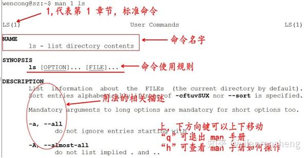 【Lnx-04】Linux命令介绍 - 知乎