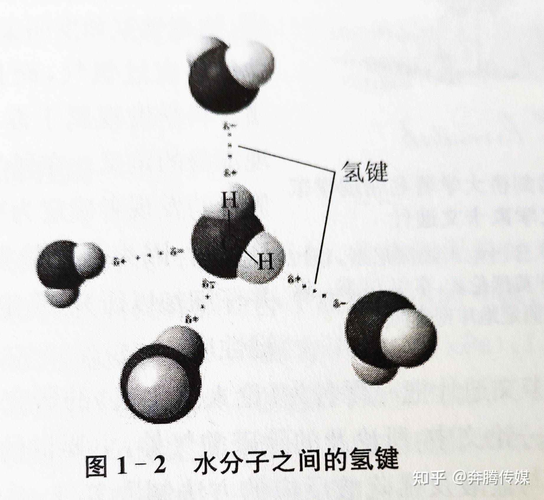 第一章 氢元素和氢气 第二节 氢元素的存在形式 - 知乎