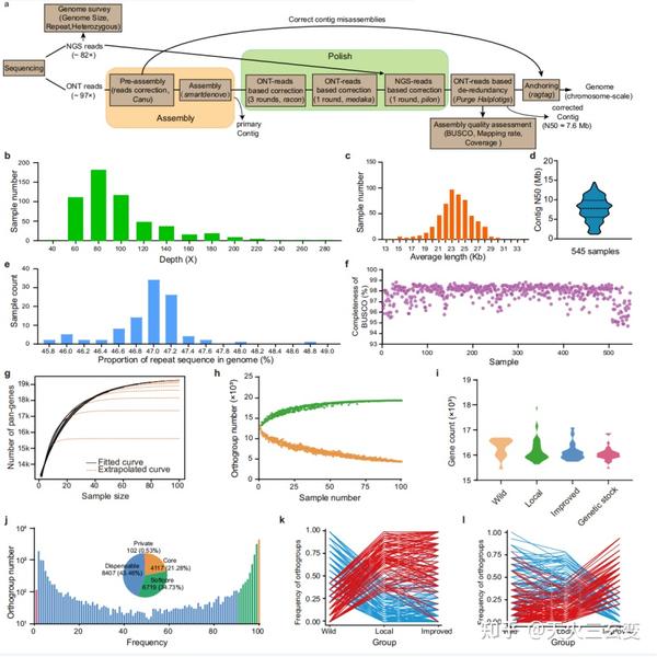 High-resolution silkworm pan-genome provides genetic insights into ar ...