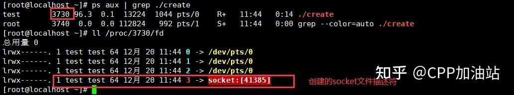 【Linux】一文搞懂socket网络编程！！！附详细代码 - 知乎