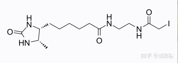 Desthiobiotin-Iodoacetamide，2924824-04-2用于生物分子的标记和分离 - 知乎