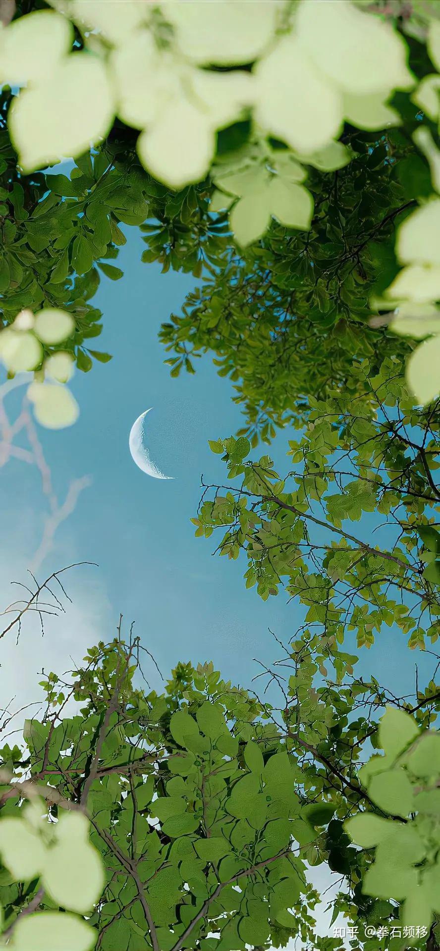 手机精美壁纸 - 知乎