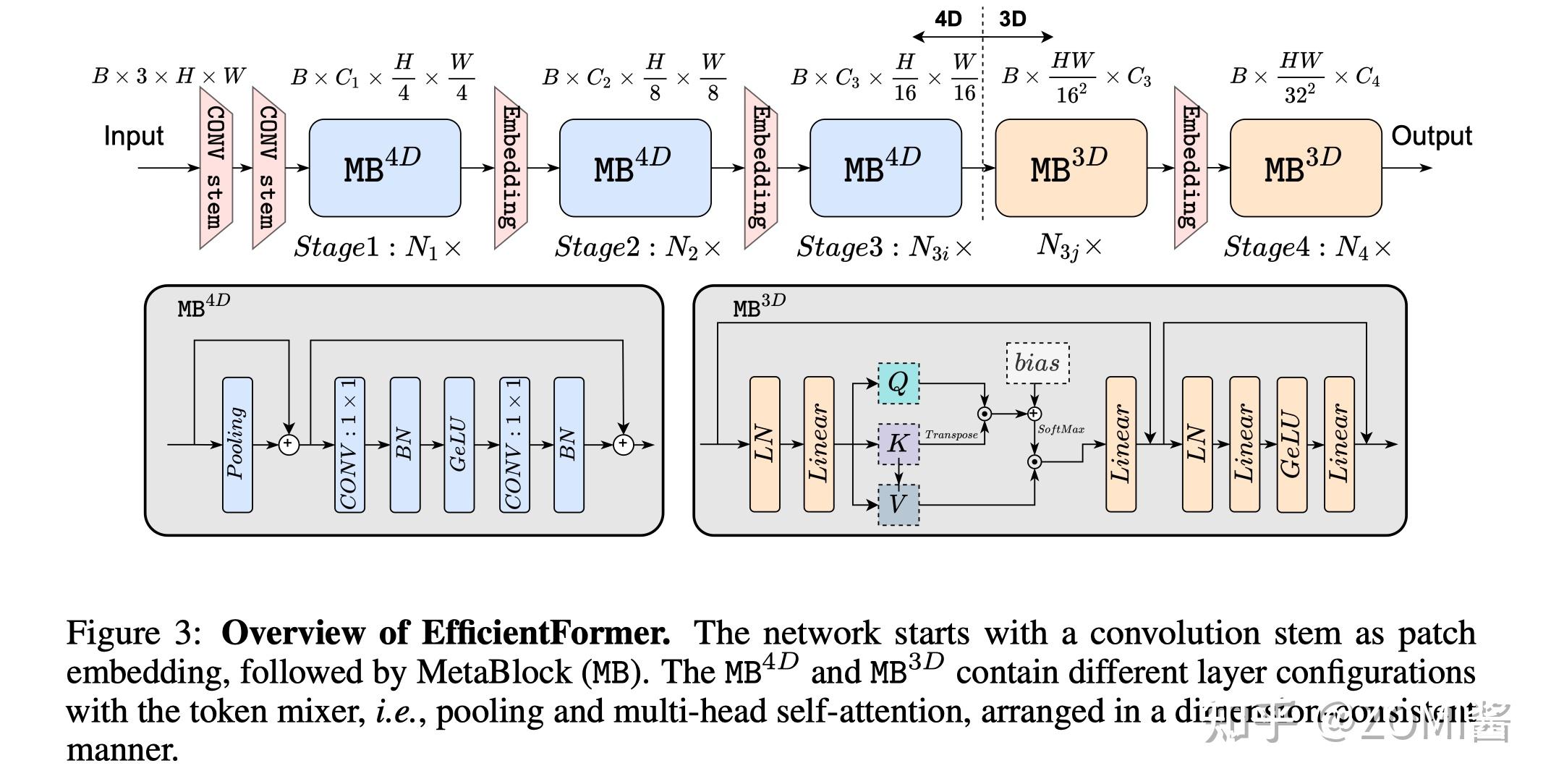 EfficientFormer：轻量化ViT Backbone - ZOMI酱酱 - 博客园