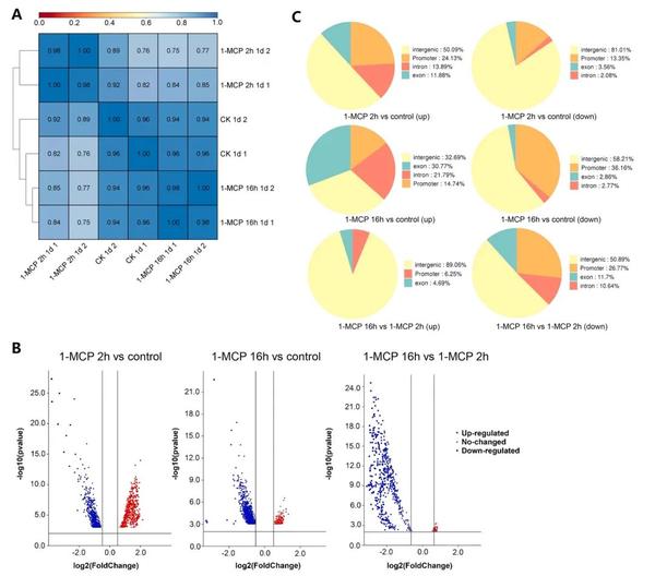 解析表观遗传学的工具——ATAC-seq（二） - 知乎