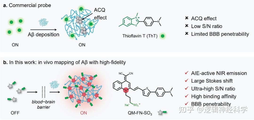 Nat Protoc︱华东理工大学郭志前课题组淀粉样蛋白Aβ检测突破性进展：助力阿尔兹海默症早期诊断 - 知乎