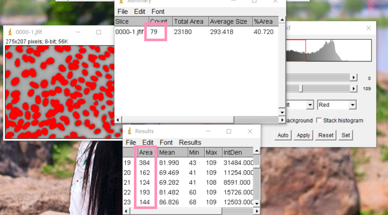 化图片为数据的科研软件 Image J 的使用小技巧 - 知乎