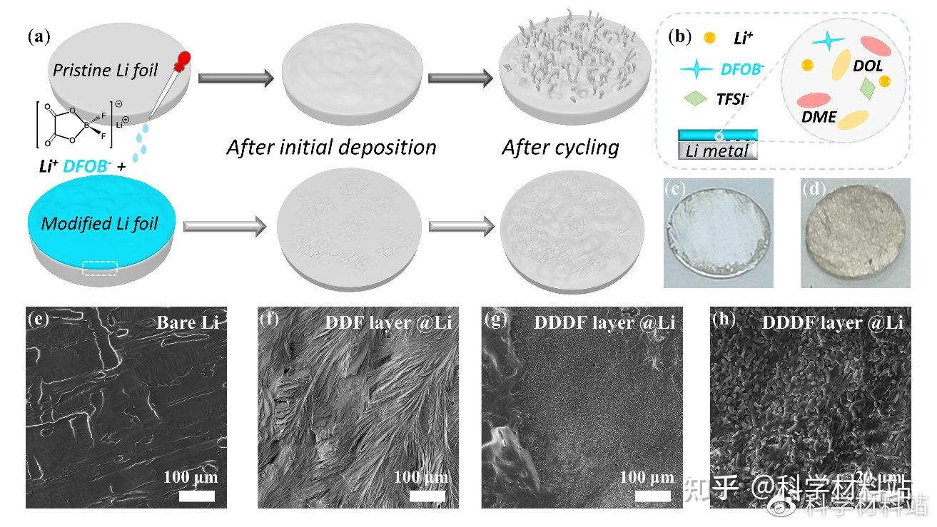 J. Mater. Chem. A研究论文：基于阴离子植入保护机制的无枝晶长寿命锂金属电池 - 知乎