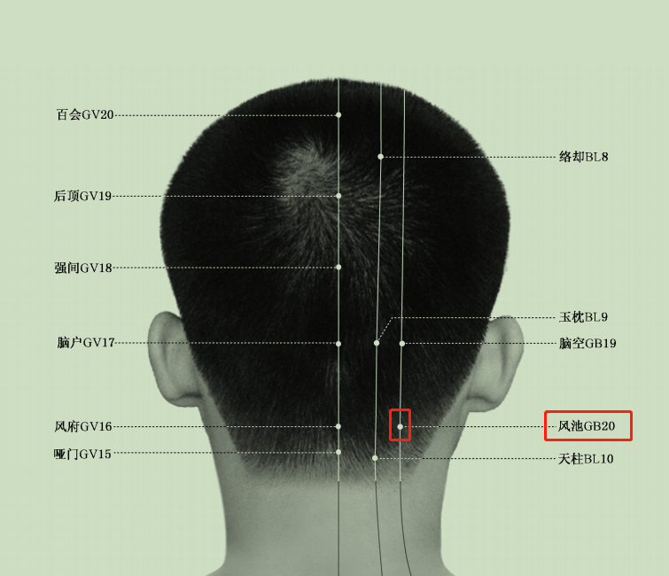 【按摩】失眠穴位图,国家权威标准,文字加示意图 知乎