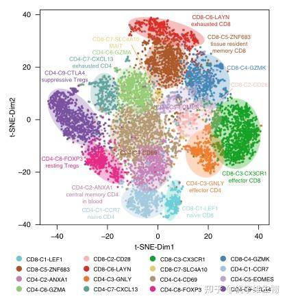 【罗工流式秘籍68】流式大数据t-SNE和UMAP的结果图看不懂？不会用？ - 知乎