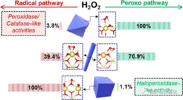 【ACS Nano】调节明确的 CeO2 纳米酶上的 H2O2 激活途径可以完全控制相关酶反应之间的特异性|香港城市大学 - 知乎