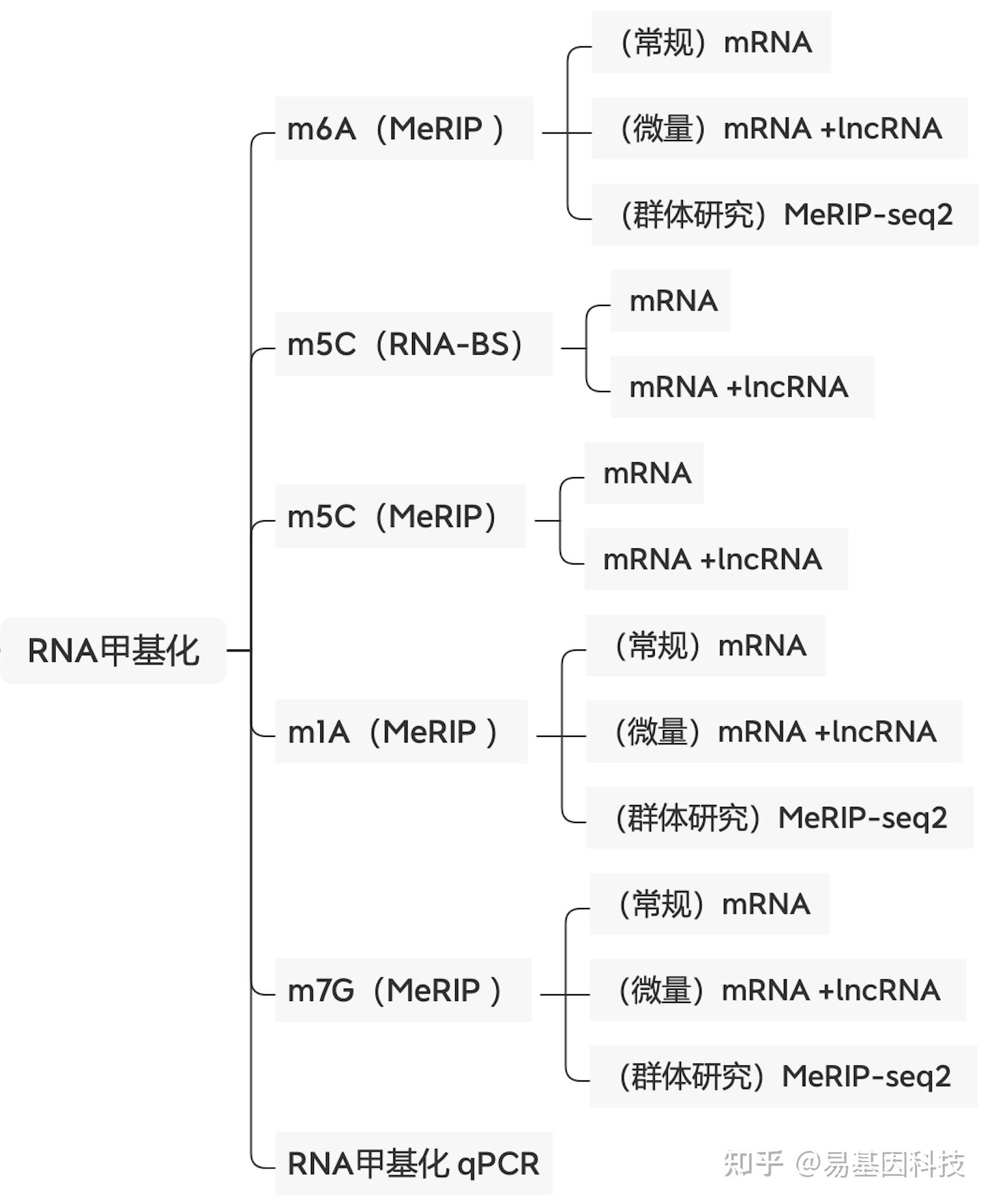 易基因： RNA m7G甲基化修饰的生物学功能及其在癌症中的作用｜综述 - 知乎