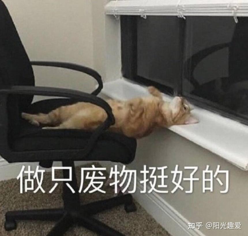 趣爱教室丨一些dirty talk的小技巧（干货） - 知乎