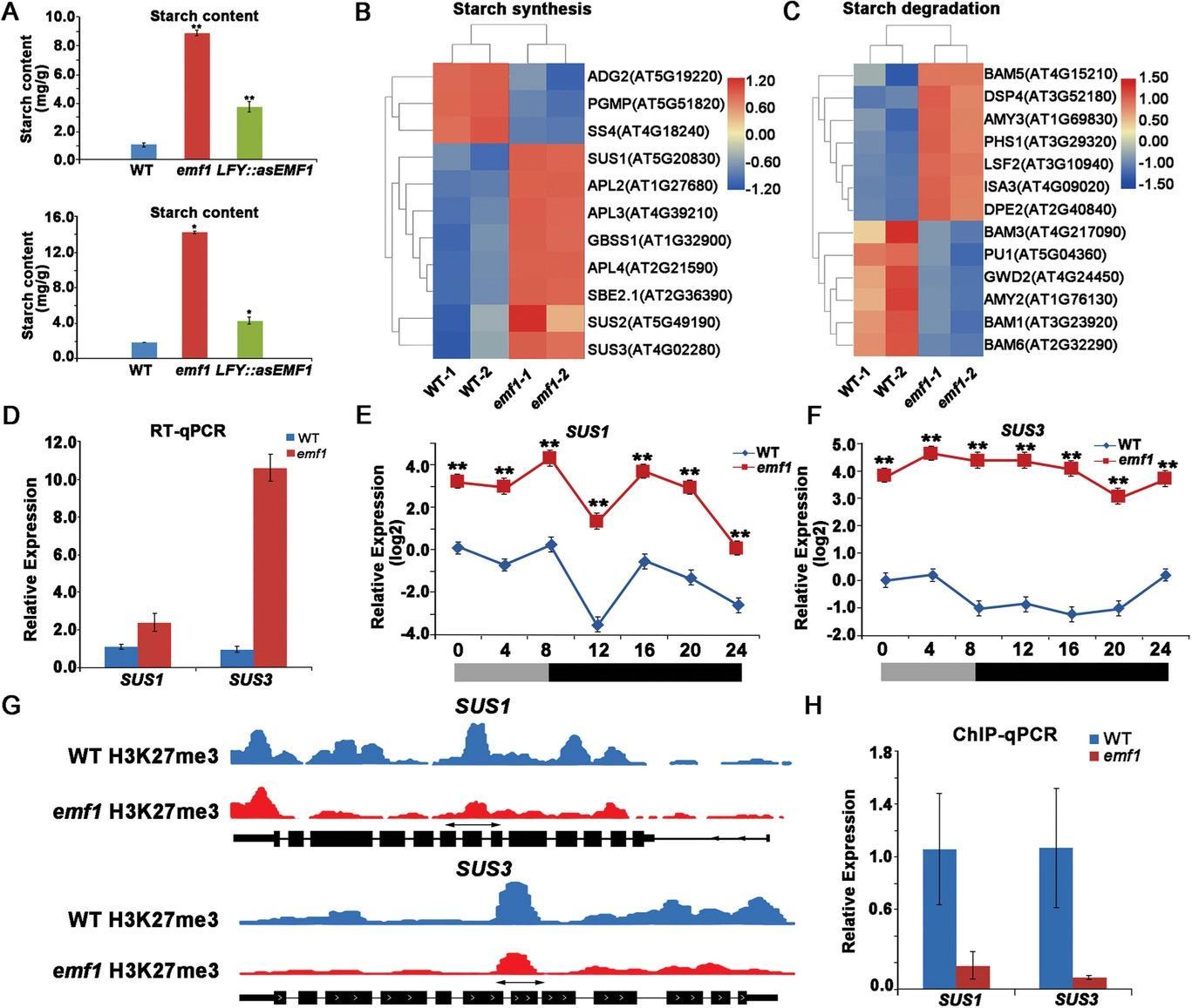 用户文章 IF=17.521|m5C MeRIP-seq助力拟南芥营养发育表观遗传机制研究 - 知乎
