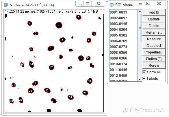 ImageJ实用技巧——图形量化分析(插件篇) - 知乎