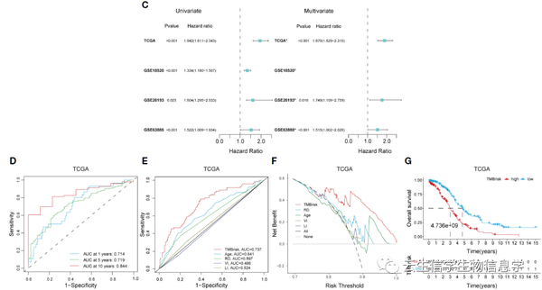 什么样的生信文章仨月就接收？带你看点肿瘤突变负荷 (TMB)不一样的分析法，“三步”完成8分+Frontiers！ - 知乎