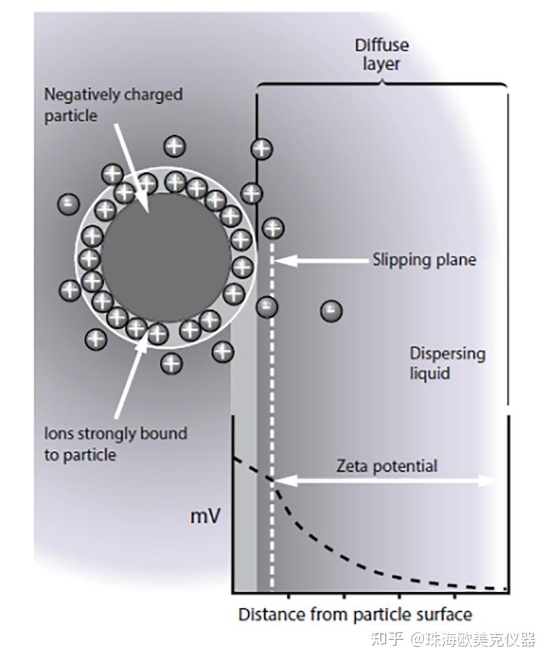 【Zeta电位】NS-90Z Plus纳米电位仪表征钛酸钡粉体在非水性体系中的Zeta电位 - 知乎