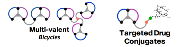 Sudocetaxel Zendusortide进入I期临床，PDC重仓癌症治疗 - 知乎