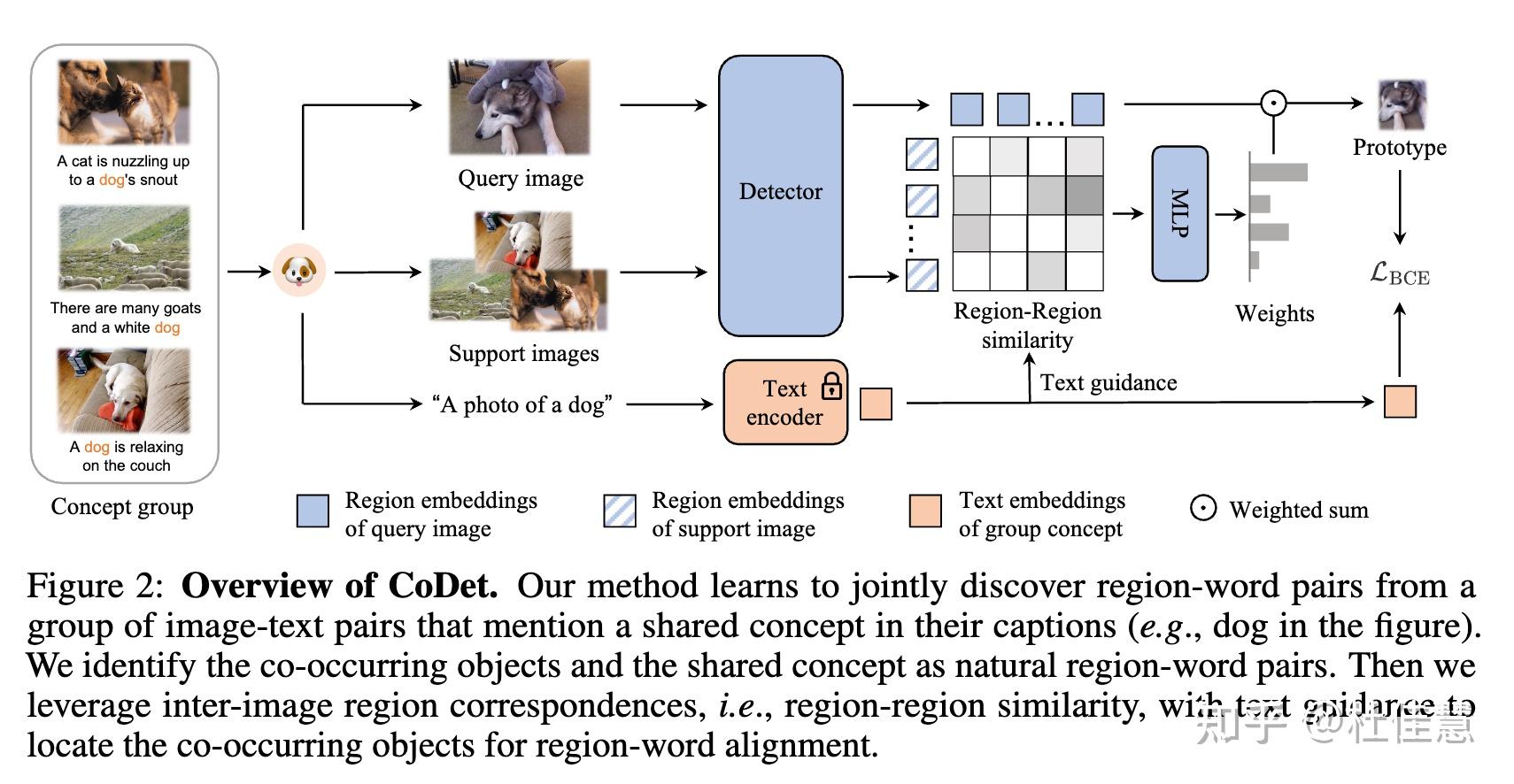 CoDet: Co-Occurrence Guided Region-Word Alignment for Open-Vocabulary Object Detection - 知乎