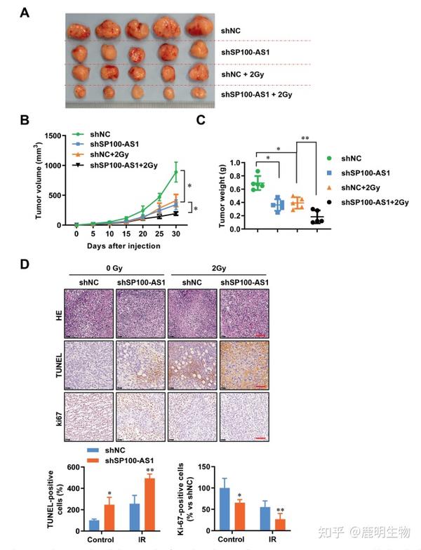 运用全转录组测序发现lncRNA可以调控结直肠癌抵抗 - 知乎