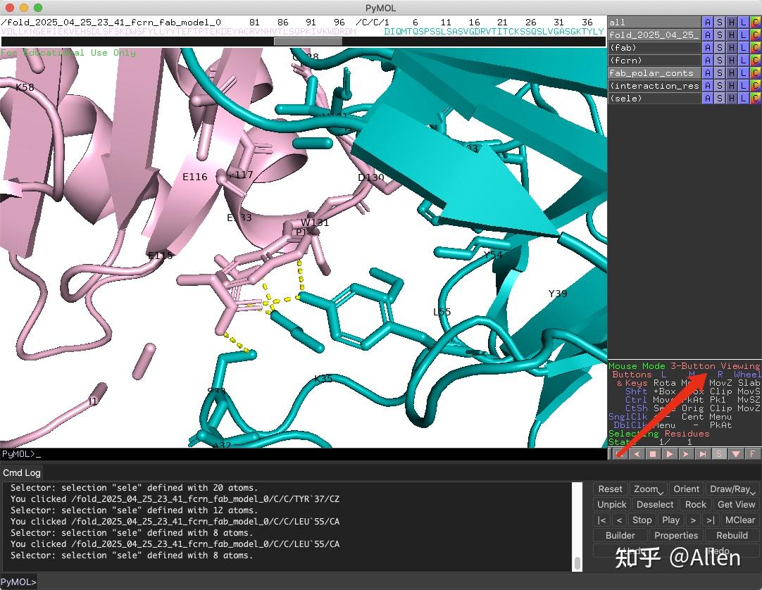 AlphaFold(α-fold)预测蛋白结构及其可视化（pymol）小白教程 - 知乎