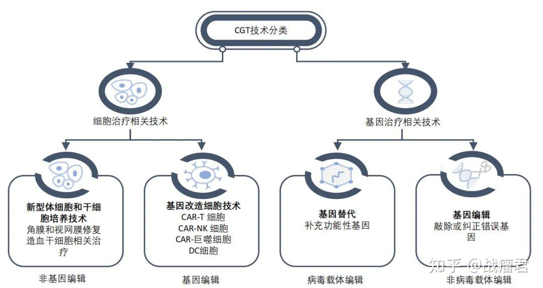 【三问战瘤君】一篇看懂细胞与基因治疗（CGT）！ - 知乎