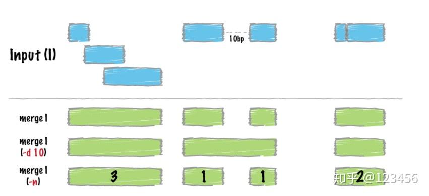 [数据格式][工具] 用Bedtools进行集合运算 - 知乎