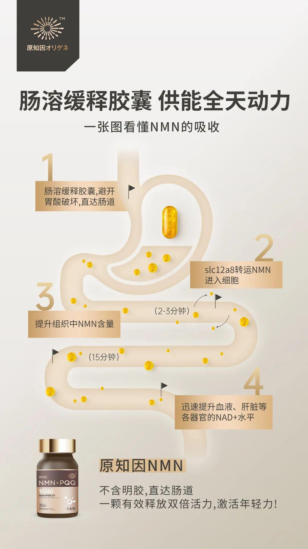 一文读懂NMN：什么是NMN？NMN有什么作用？ - 知乎