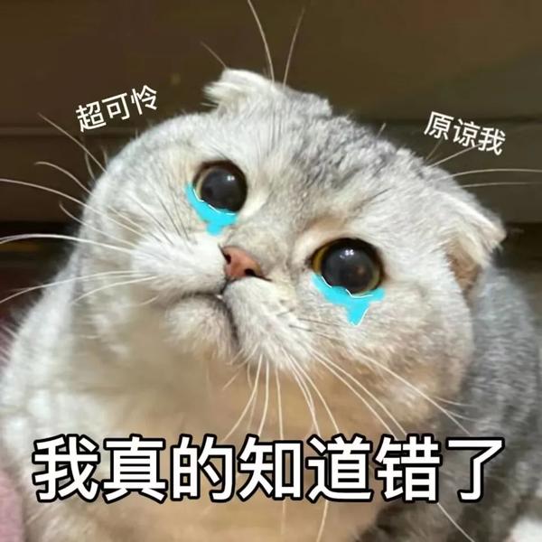哄女朋友的表情包 知乎