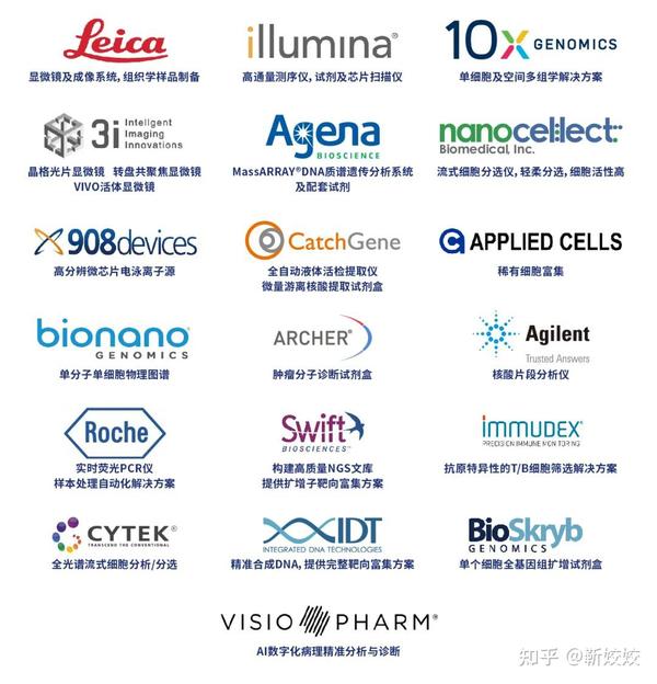 Visiopharm AI驱动多重免疫荧光表型分析：在空间环境中捕捉细胞多样性 - 知乎